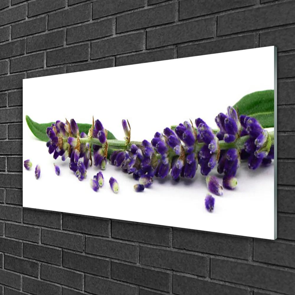 Obraz na skle Levandule Mrtvá Příroda 120x60 cm