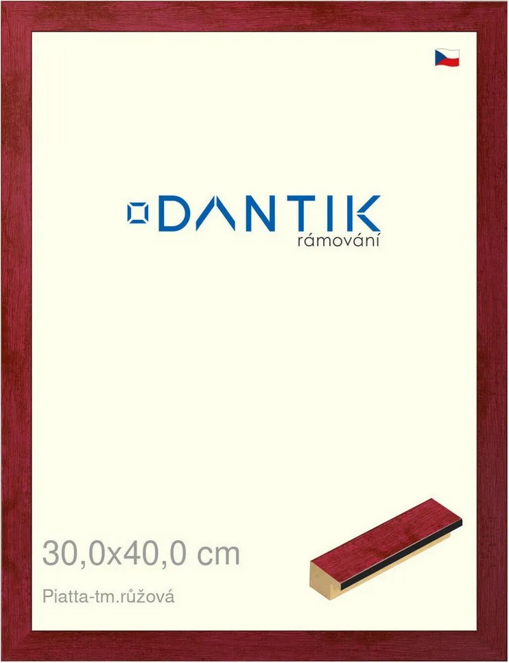 DANTIK rámeček 30x40 | PIATTA tm.růžová (Plexi Čiré)