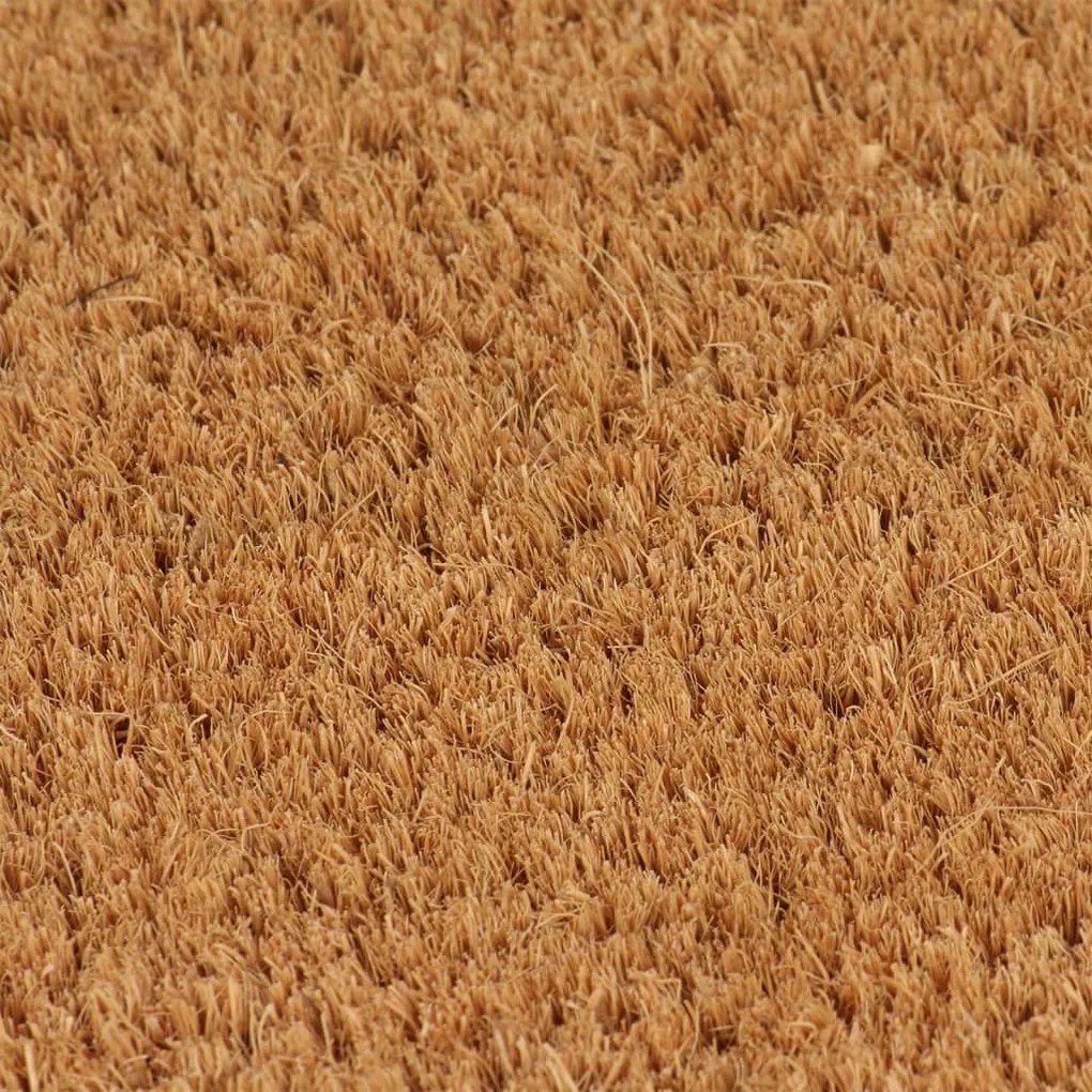 Rohožky před dveře 5 ks přírodní 40 x 60 cm kokosové vlákno 155598