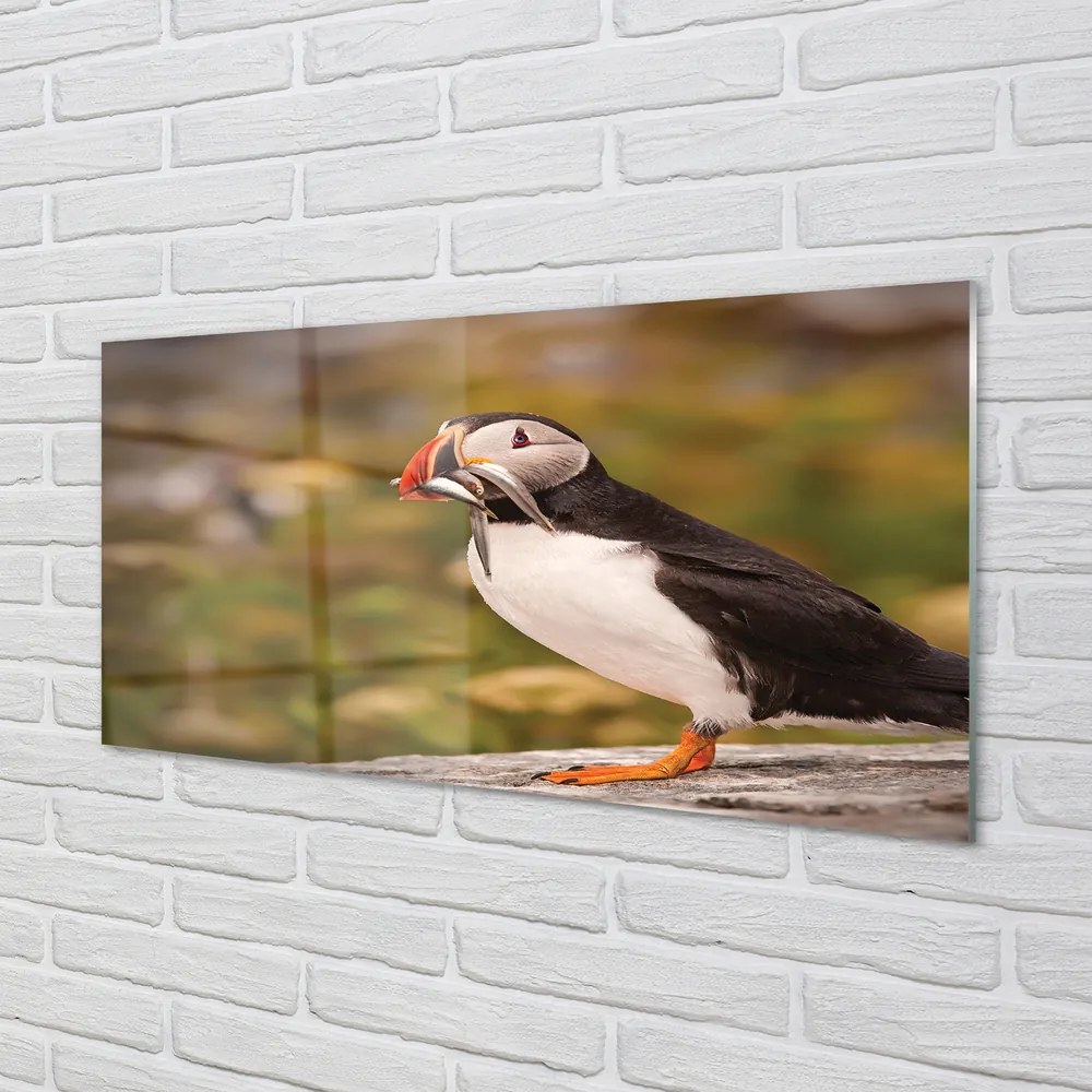 akrylový obraz Papoušek 125x50 cm