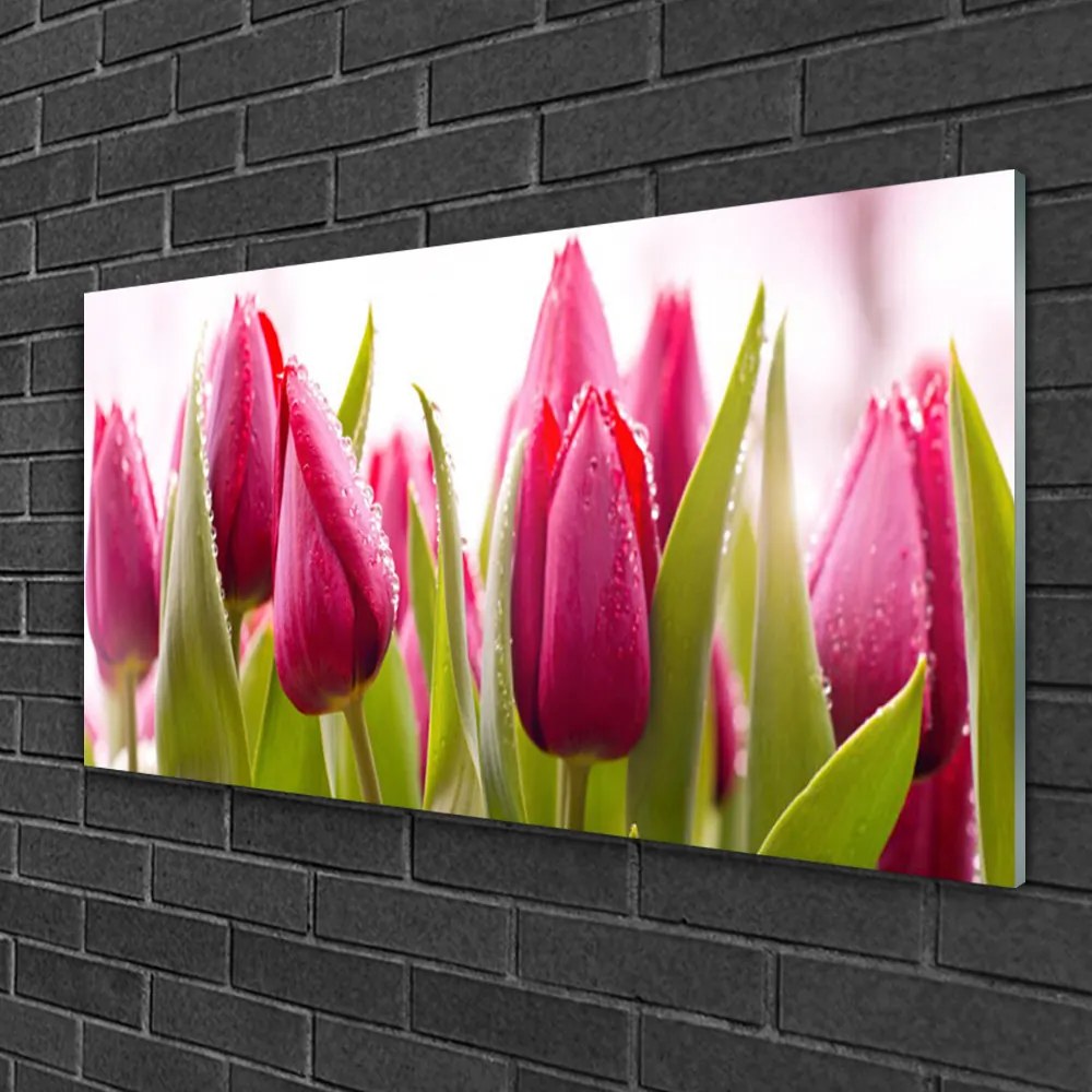 Obraz na skle Tulipány Květiny Rostlina 100x50 cm