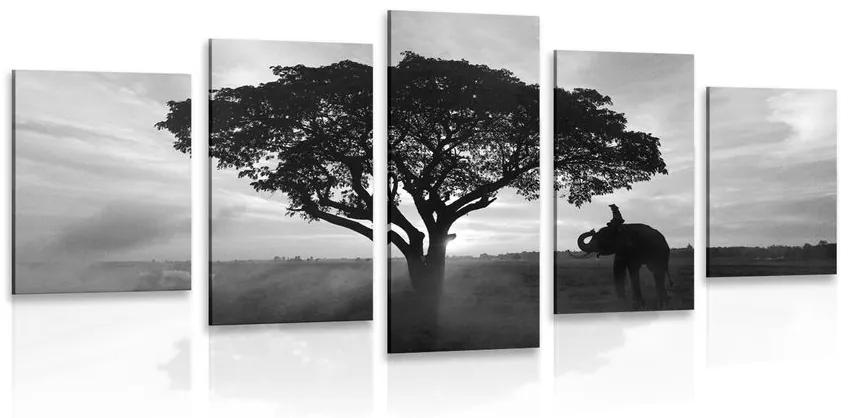 5-dílný obraz slon při východu slunce v černobílém provedení Varianta: 200x100