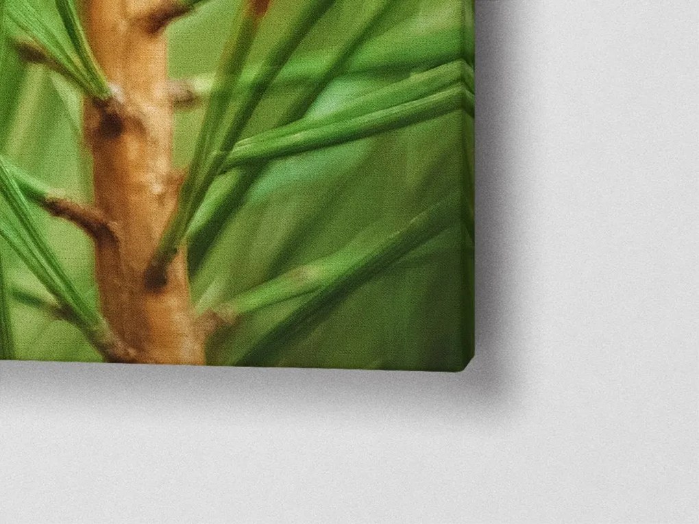 Liox XXL Obraz šnek a jehličí Rozměr: 200 x 100 cm