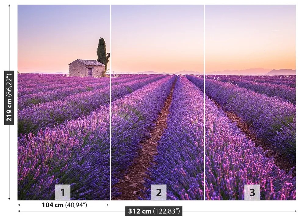 Fototapeta Provence levandule 104x70