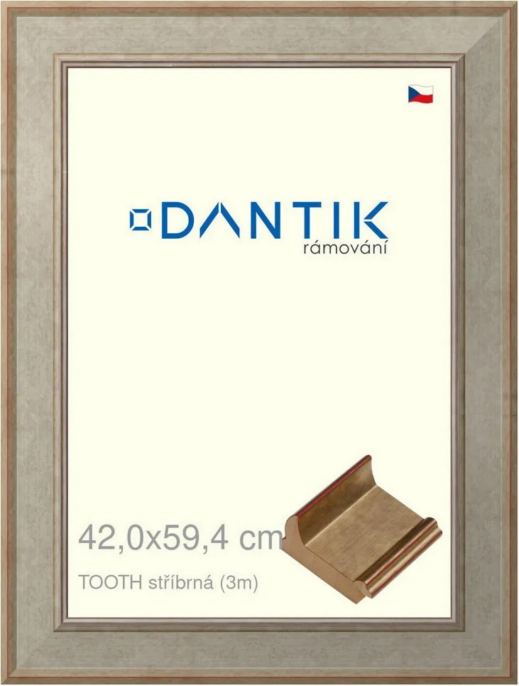 DANTIK rámeček 42x59,4 | TOOTH stříbrná (Plexi Čiré)