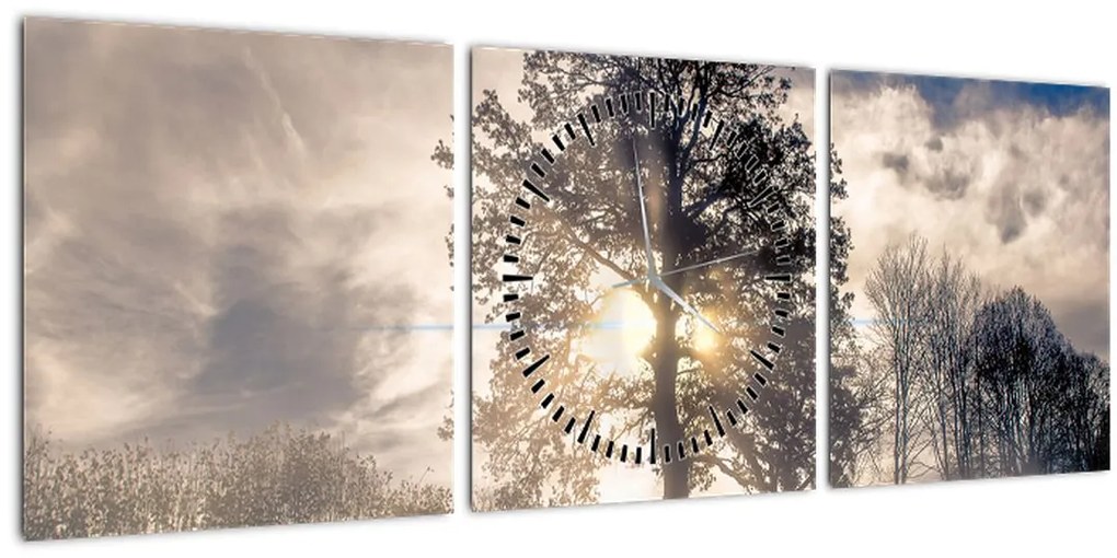 Obraz stromu v mlze (s hodinami) (90x30 cm)