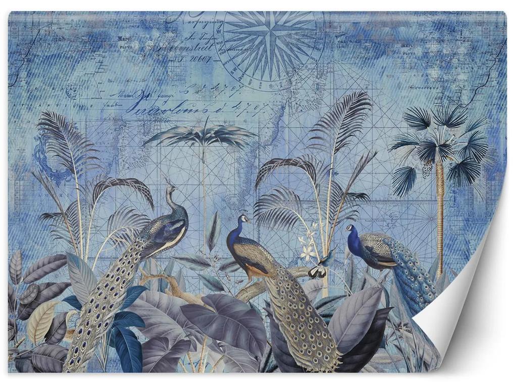 Gario Fototapeta Pávy v modrých tropech - Andrea Haase Materiál: Vliesová, Rozměry: 200 x 140 cm