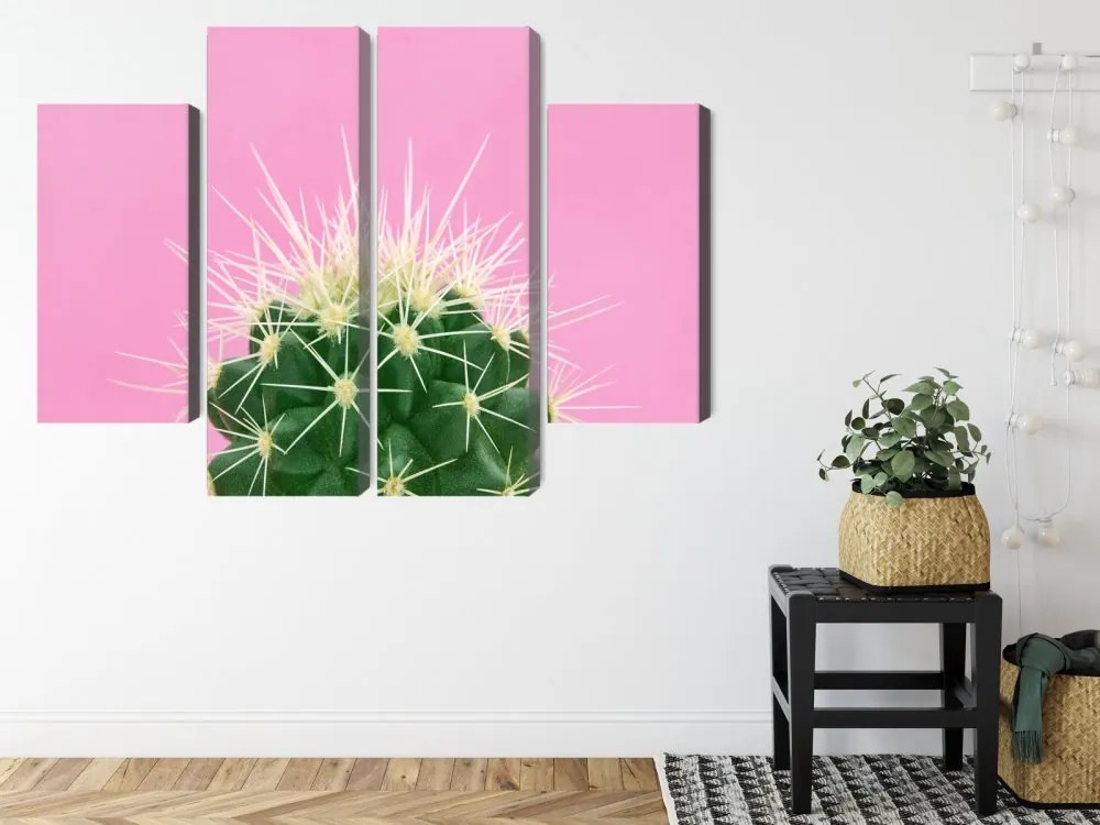 Vícedílný obraz Kaktus Na Růžovém Pozadí Nedostatek Nedostatek Přírodní plátno 200x150