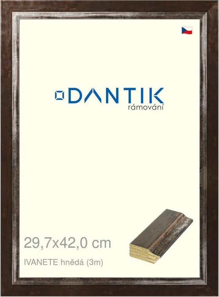 DANTIK rámeček 29,7x42 | IVANETE hnědá (Plexi Čiré)