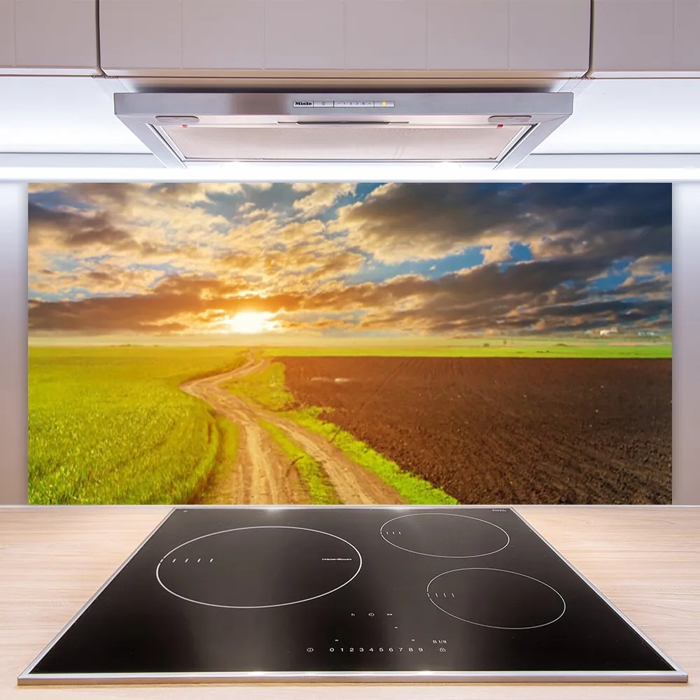 Skleněné obklady do kuchyně Pole Nebe Slunce Příroda 100x50 cm
