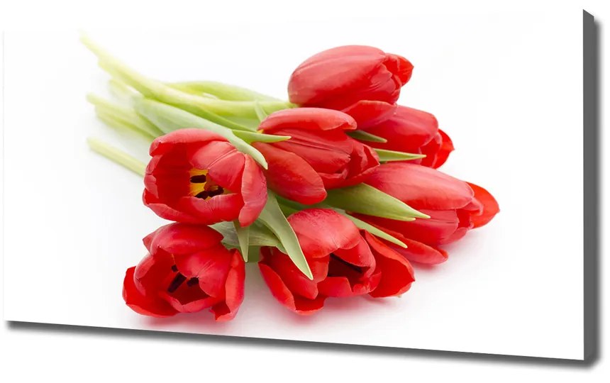 Wallmuralia Foto obraz na plátně Červené tulipány 120x60 cm