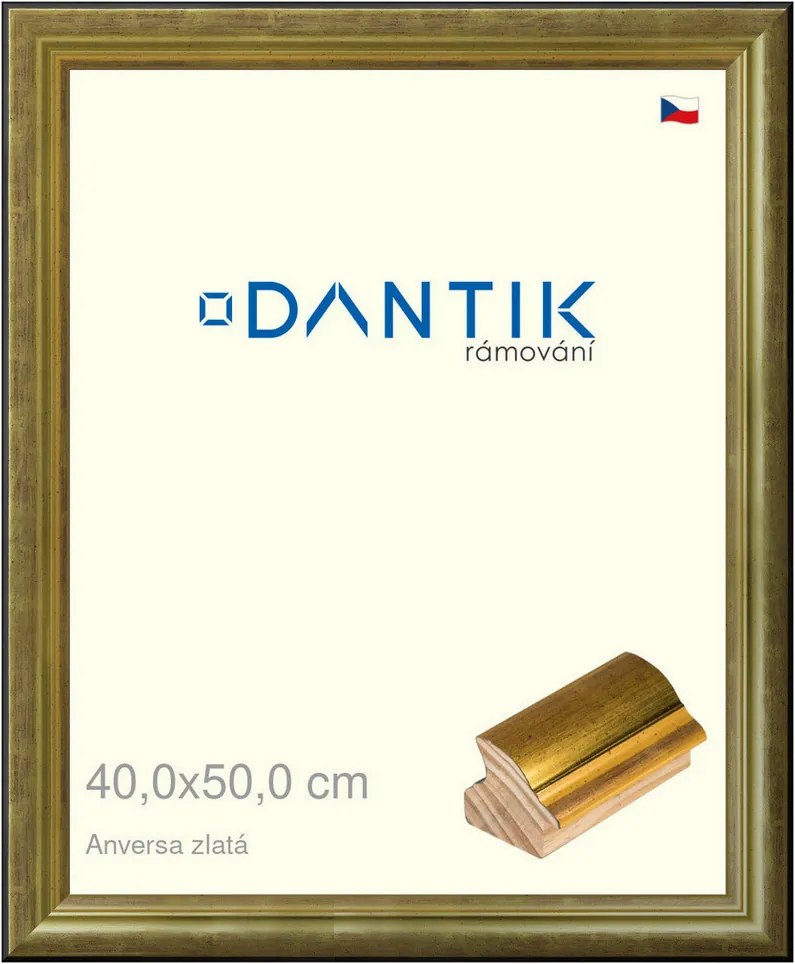 DANTIK rámeček 40x50 | ANIVERSA zlatá (Plexi Čiré)