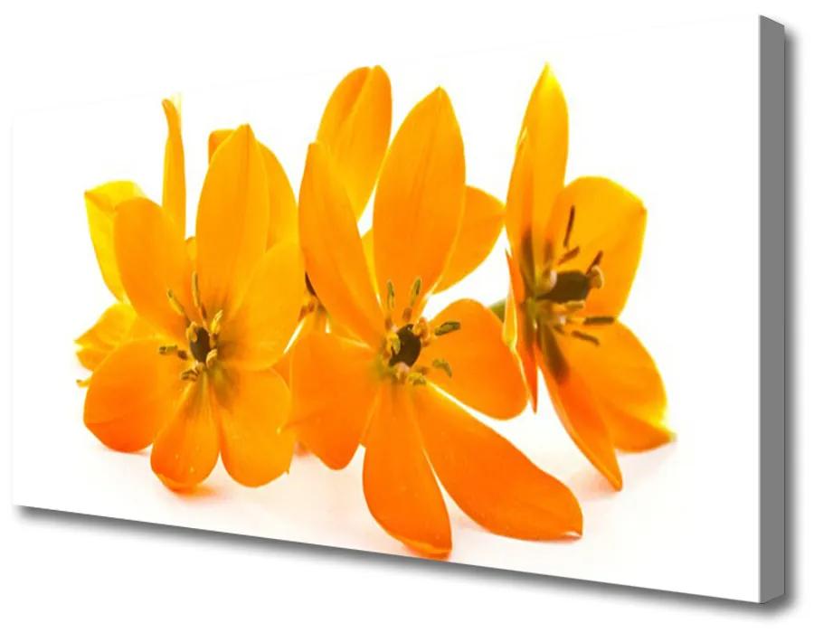Obraz na plátně Oranžové Květiny 100x50cm