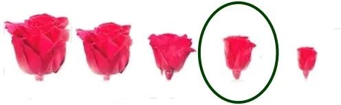 Hlavy růží - mini 12 ks Dark pink - tmavě růžová