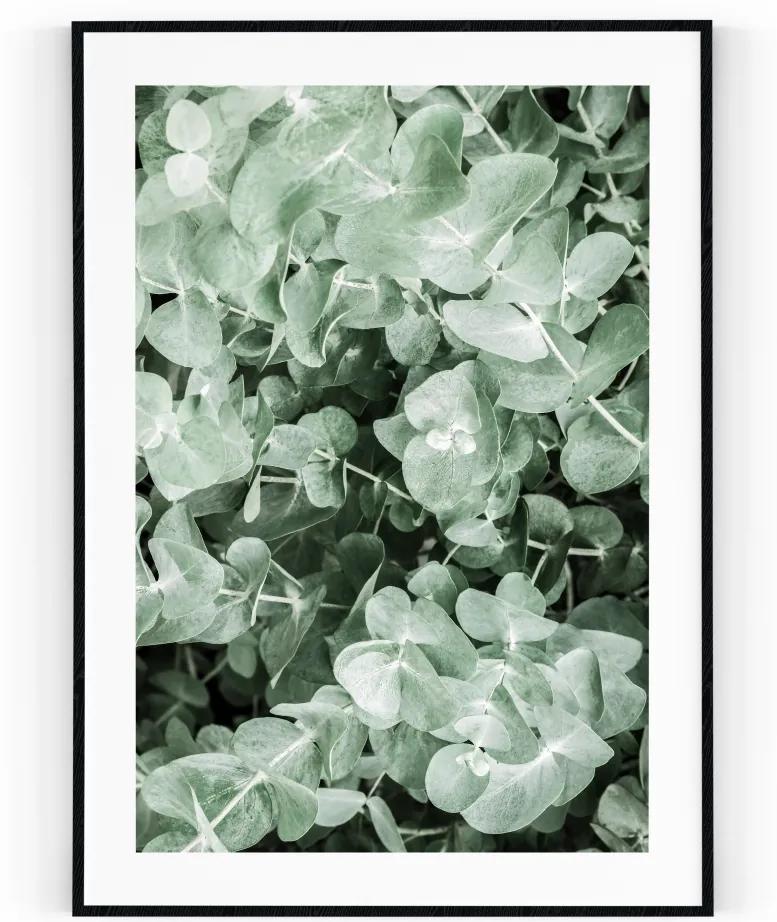 Plakát / Obraz Eucalyptus S okrajem Pololesklý saténový papír 210 g/m² A4 - 21 x 29,7 cm