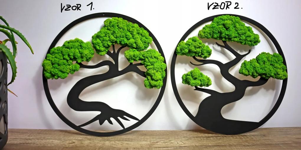 OznTo Nástěnný strom ve tvaru bonsaje více druhů,3velikosti Barva mechu: středně zelený, Barva rámečku: Hnědá, Rozměr rámečku: Průměr 40cm