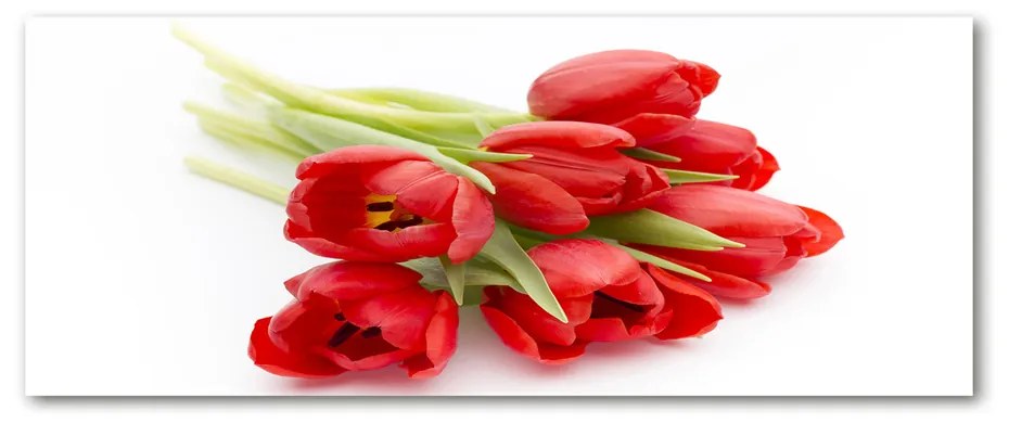 Wallmuralia Moderní akrylový fotoobraz Červené tulipány 125x50 cm