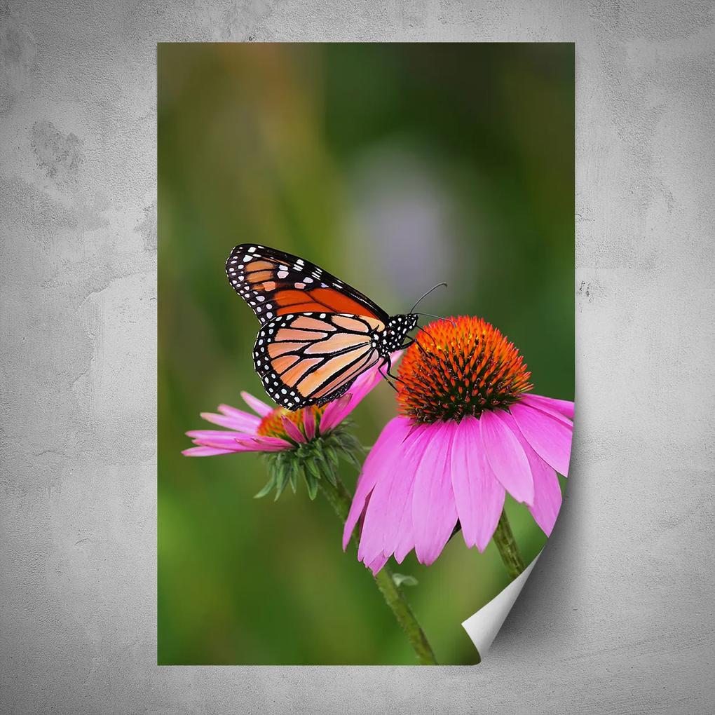Plakát - Červený motýl na květu (80x120 cm) - PopyDesign