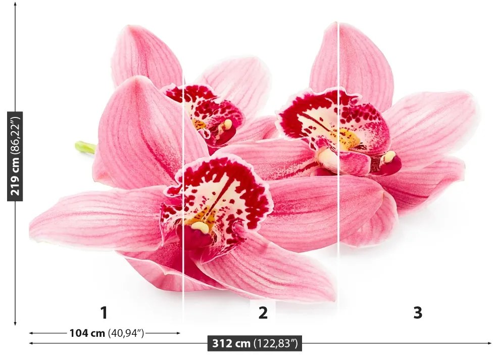 Fototapeta Růžová orchidej 104x70
