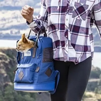 Kurgo Nomad Carrier Batoh pro psa modrý