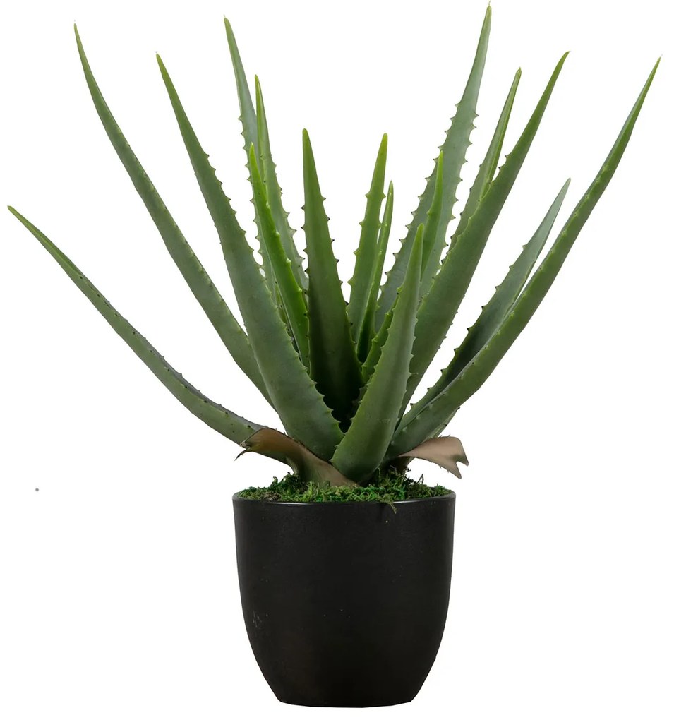 WOOOD Umělá dekorativní rostlina Aloe Vera – 46 cm 46 × 14 × 14 cm