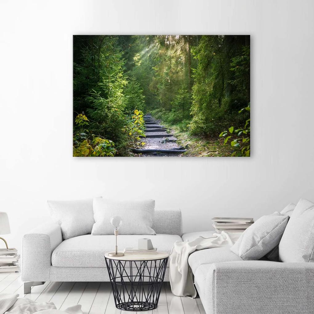 Gario Obraz na plátně Cesta v zeleném lese Rozměry: 60 x 40 cm