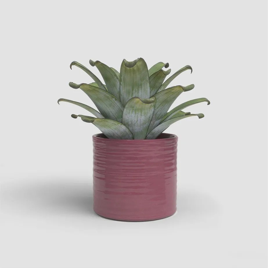 Keramický ručně vyrobený obal na květináč ø 18 cm Fortuna – Artevasi