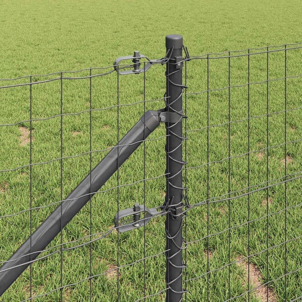 Evropský plot se hroty 50 x 0,4 m Ocel potažená PVC Šedá 3350693
