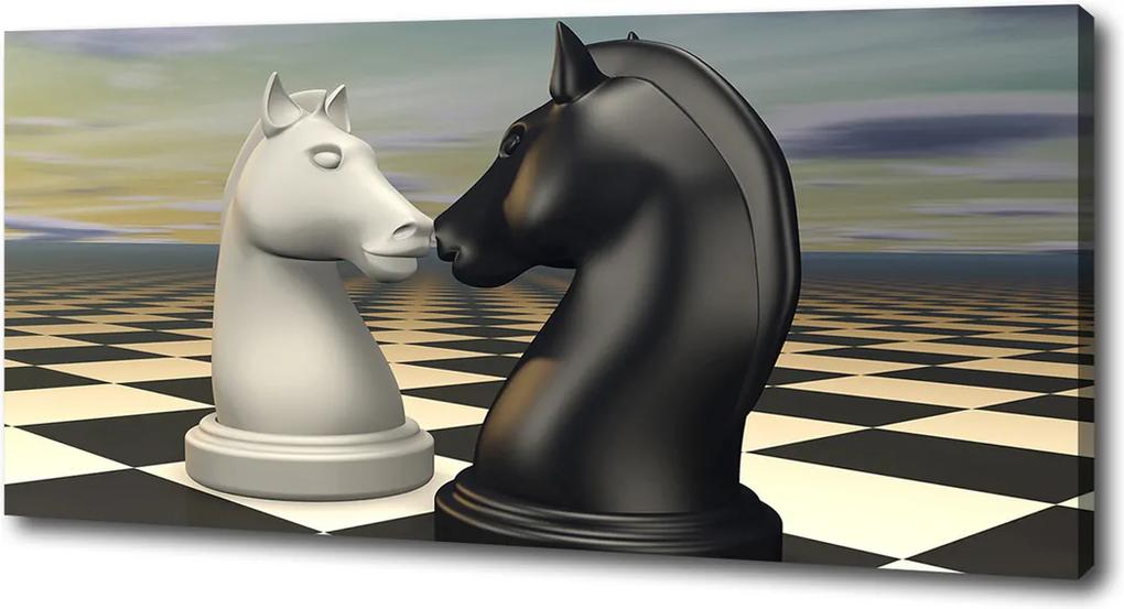 Foto obraz canvas Šachy koně | BIANO