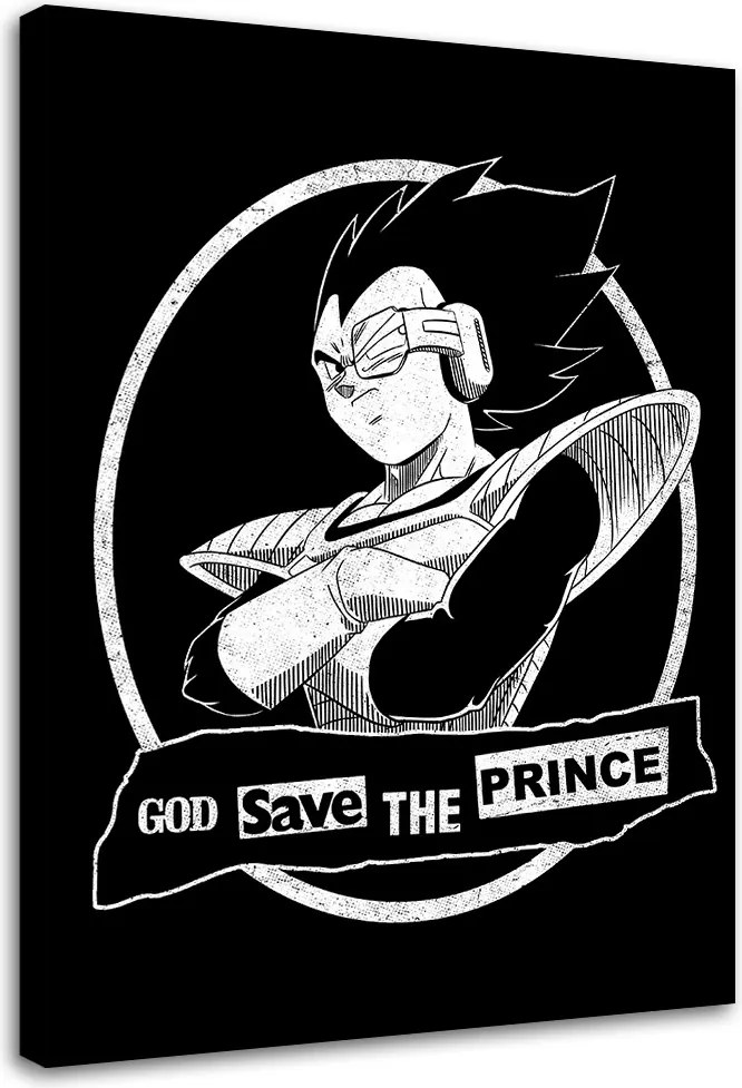 Obraz na plátně God Save The Prince DDJVigo 40x60