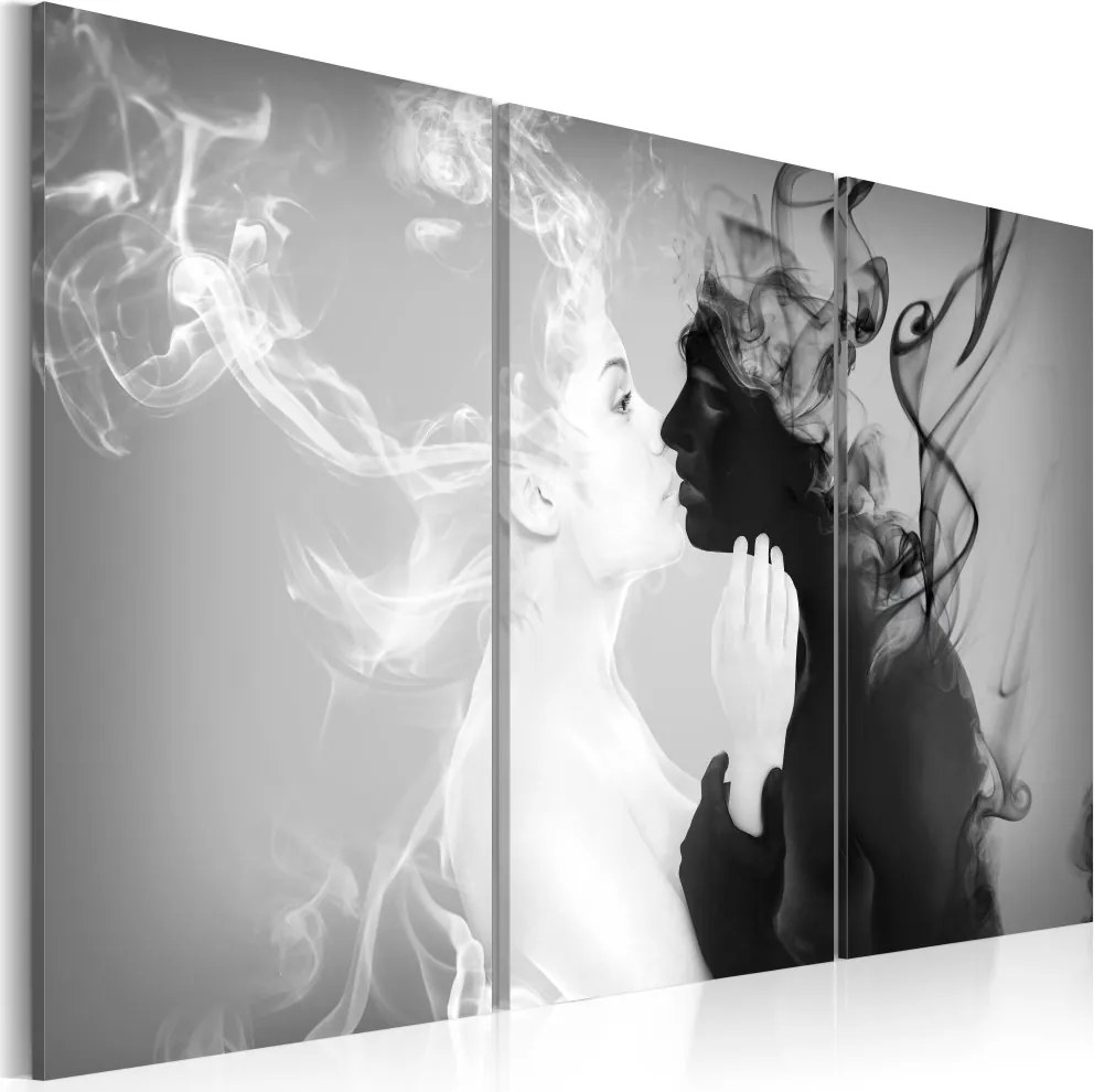 Obraz na plátně Bimago - Smoky kiss 60x40 cm