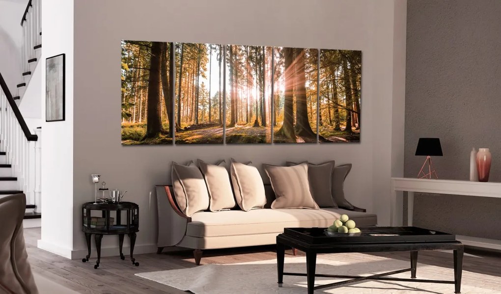 Obraz ráno v lese + háčky a hřebíčky ZDARMA Velikost (šířka x výška): 125x50 cm