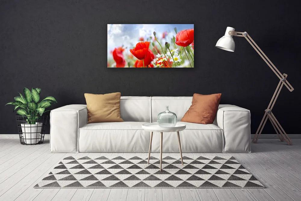 Obraz na plátně Máky Sedmikrásky Květiny 120x60 cm