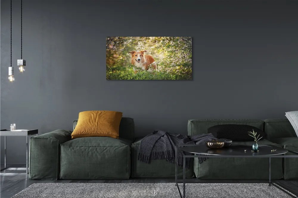 Obrazy na plátně Psí lesní květiny 100x50 cm