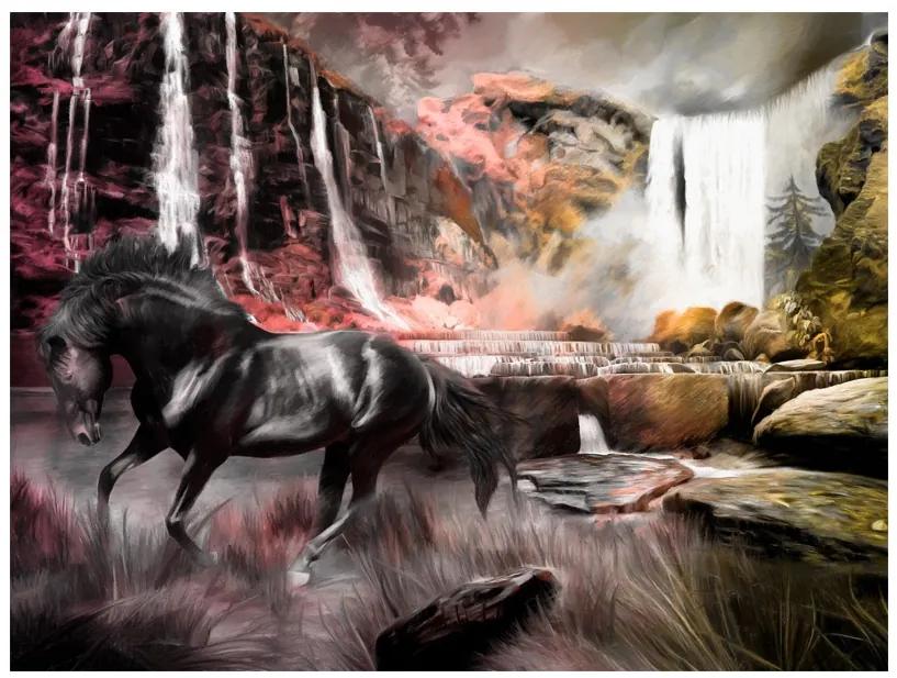 Fototapeta - Black horse by a waterfall