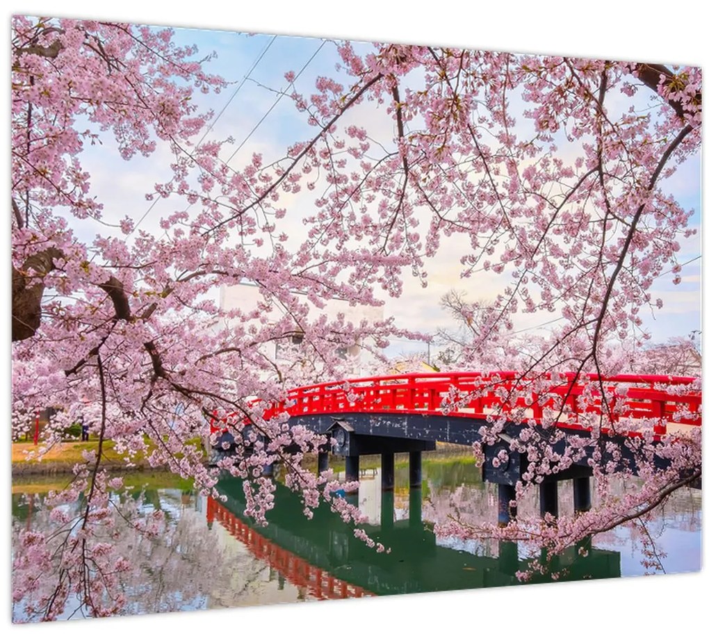 Obraz - Hirosaki, Japonsko (70x50 cm)