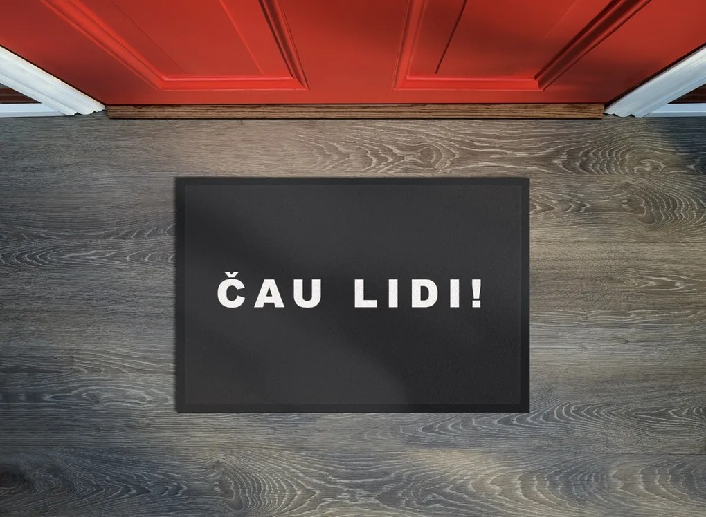 Rohožka Čau lidi 40x60 cm – na von aj na doma, 40x60, šedá, GDmats