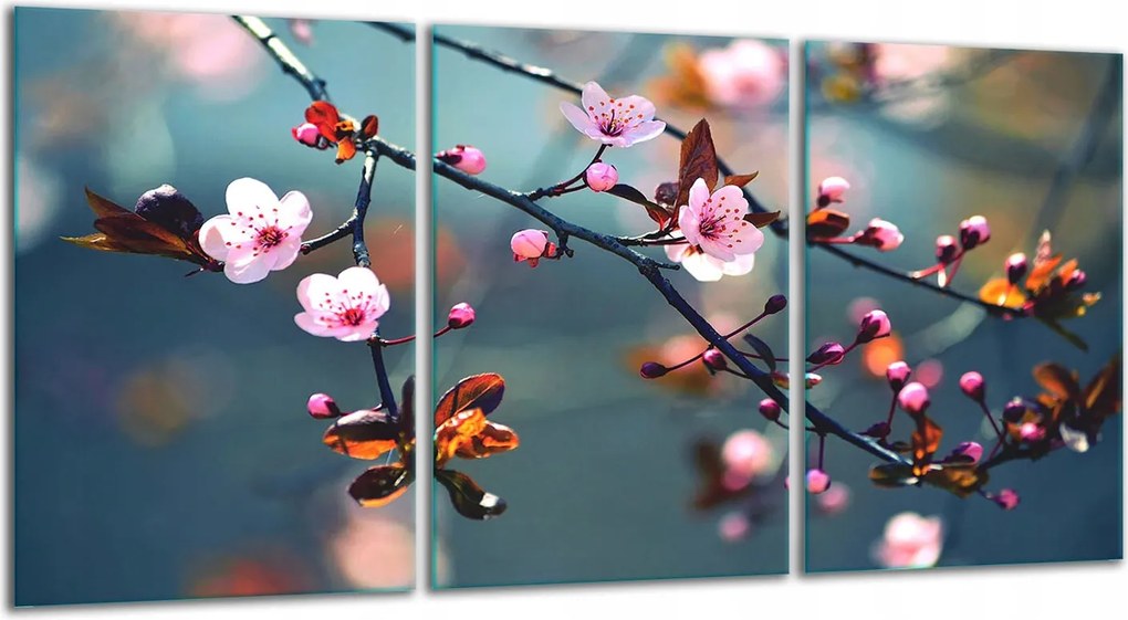 Skleněná Deska Na Krájení Deska 3x30x52 Květiny Tvrzené Sklo Kuchyně 7v1