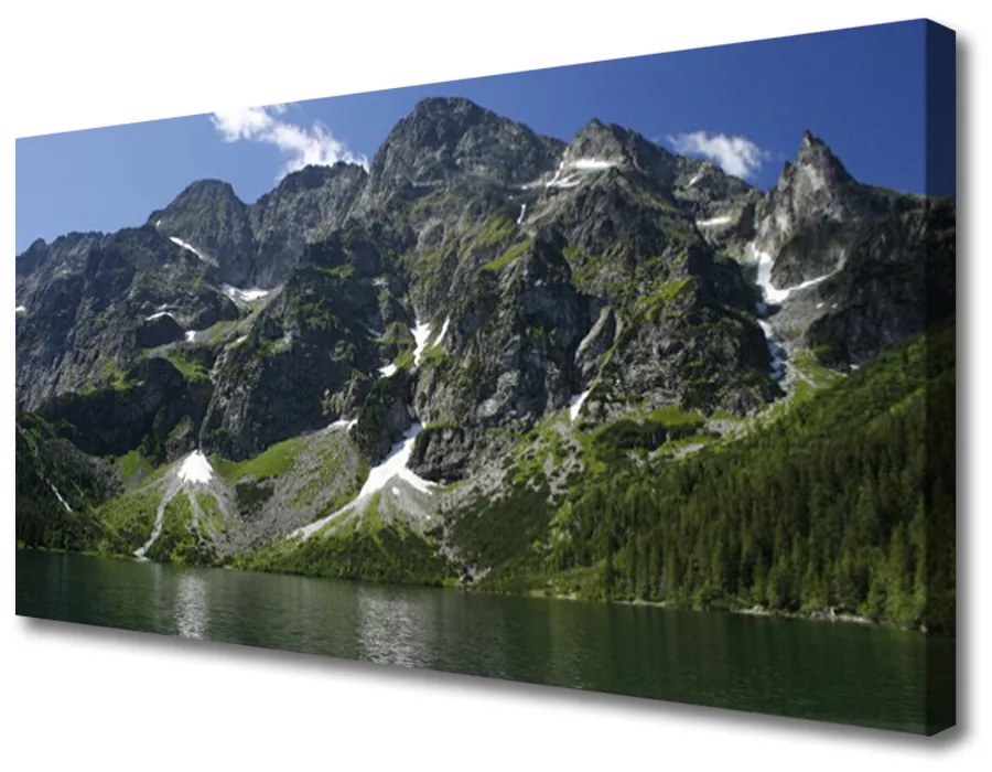 Obraz na plátně Hory Jezero Les Krajina 100x50 cm