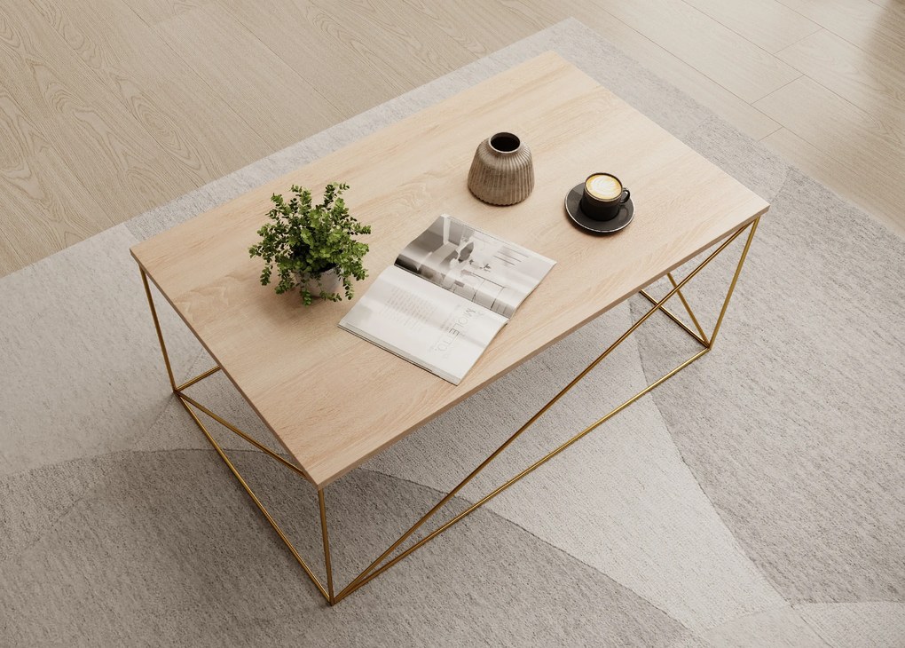ADRK Furniture Konferenční stolek Dante CT-DAN-G-S