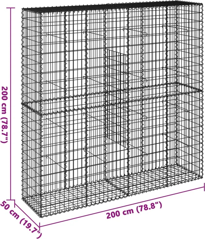 Gabionový koš s víkem 200 x 50 x 200 cm pozinkované železo 3295167