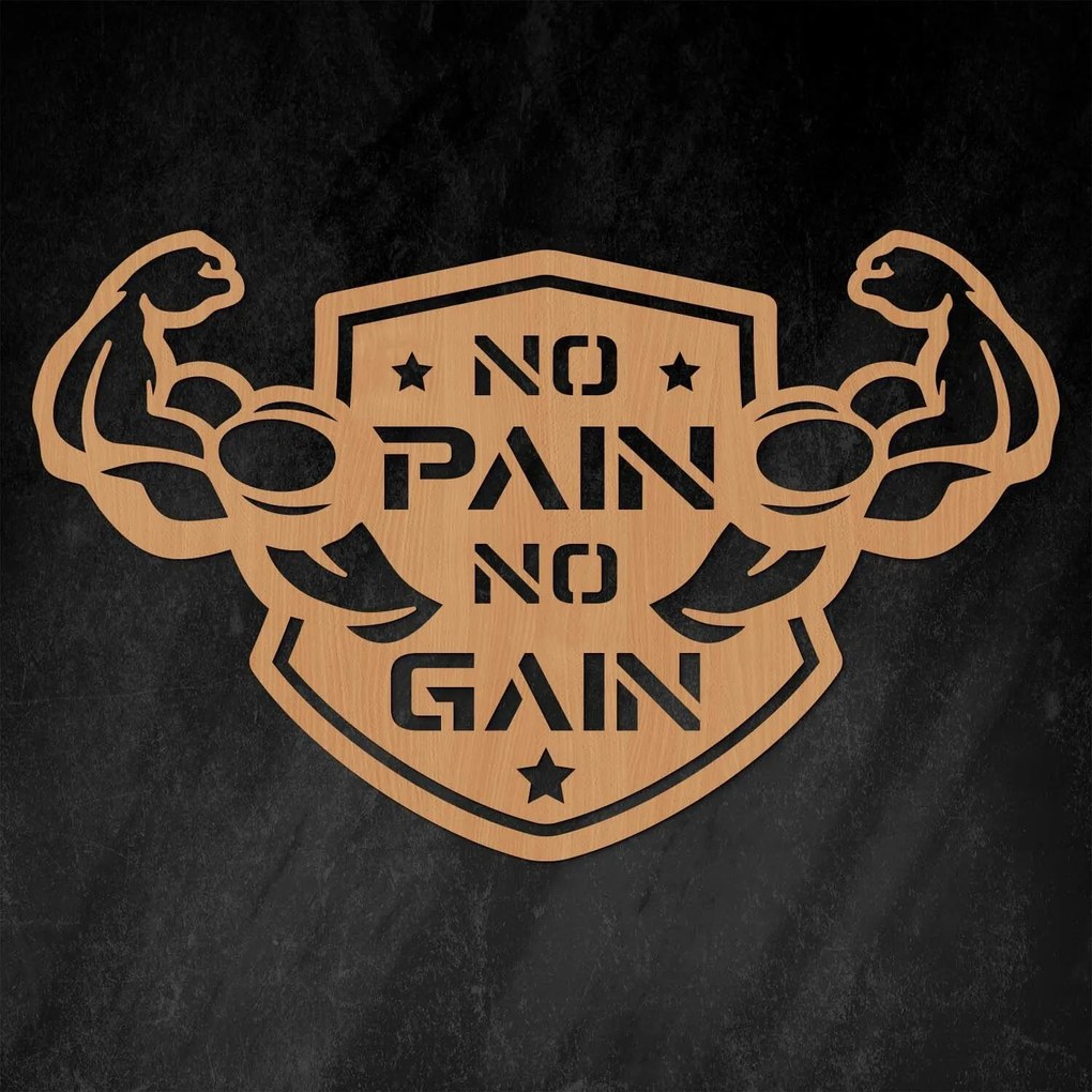 DUBLEZ | Motivační obraz - No Pain No Gain