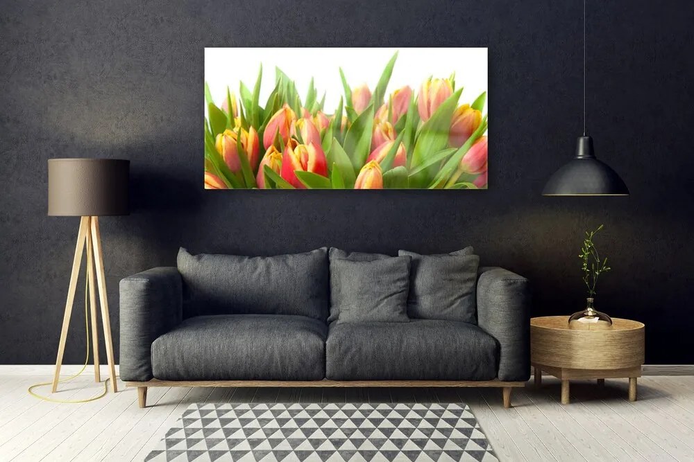 akrylový obraz Tulipány Květiny Rostlina 120x60 cm