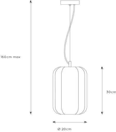 Lucide 25409/01/30 - Lustr na lanku FERN 1xE27/60W/230V