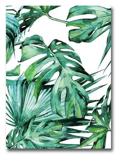 Obraz Canvart Jungle, 28 x 38 cm