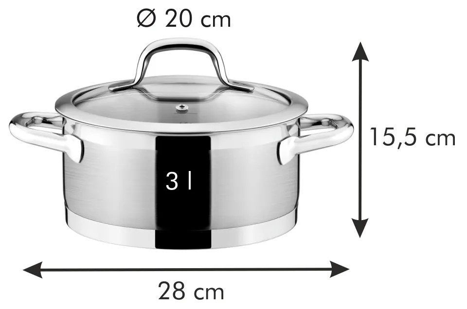 Kastrol PRESIDENT s poklicí ø 20 cm, 3,0 l