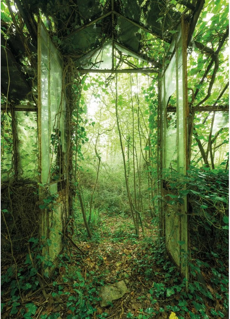 Komar Vliesová fototapeta Greenhouse 200 x 280 cm
