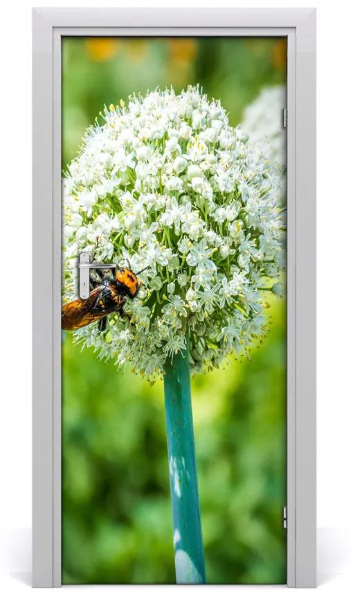 Fototapeta samolepící květ česneku 75x205 cm