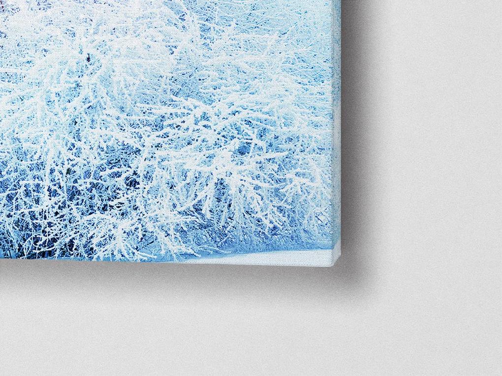 Liox Obraz Jelen v zimní krajině Rozměr: 60 x 40 cm