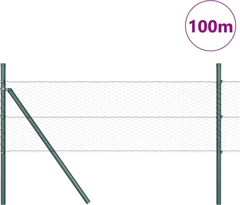 Hexagonální kotvení plotu 100 x 0,5 m Ocel potažená PVC Zelená 3352733